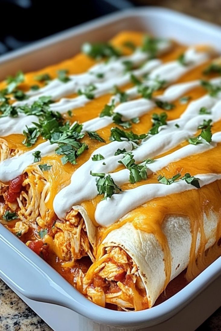 Smothered Baked Chicken Burritos - Ava Chef Life