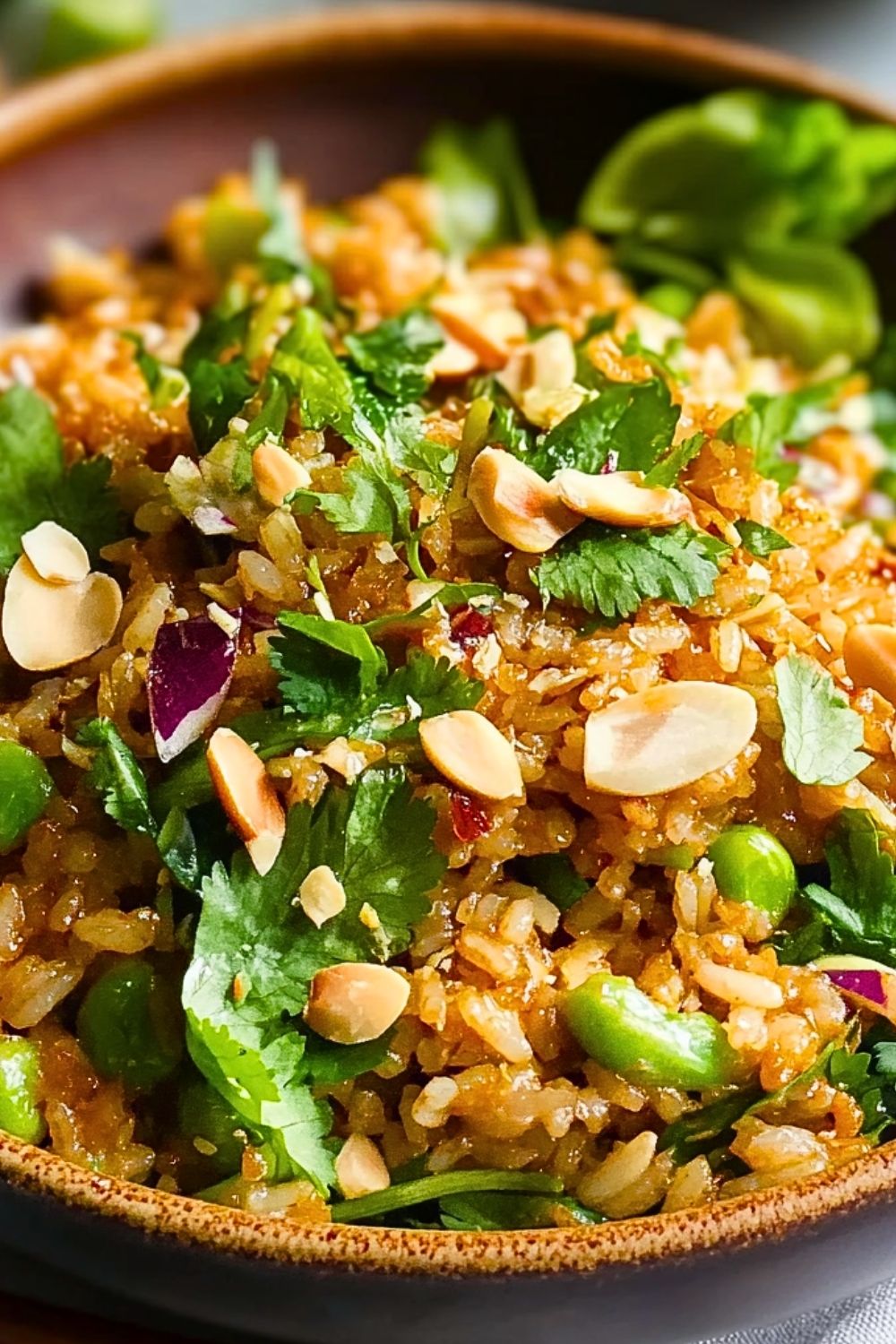 Satay Crispy Rice Salad - Ava Chef Life