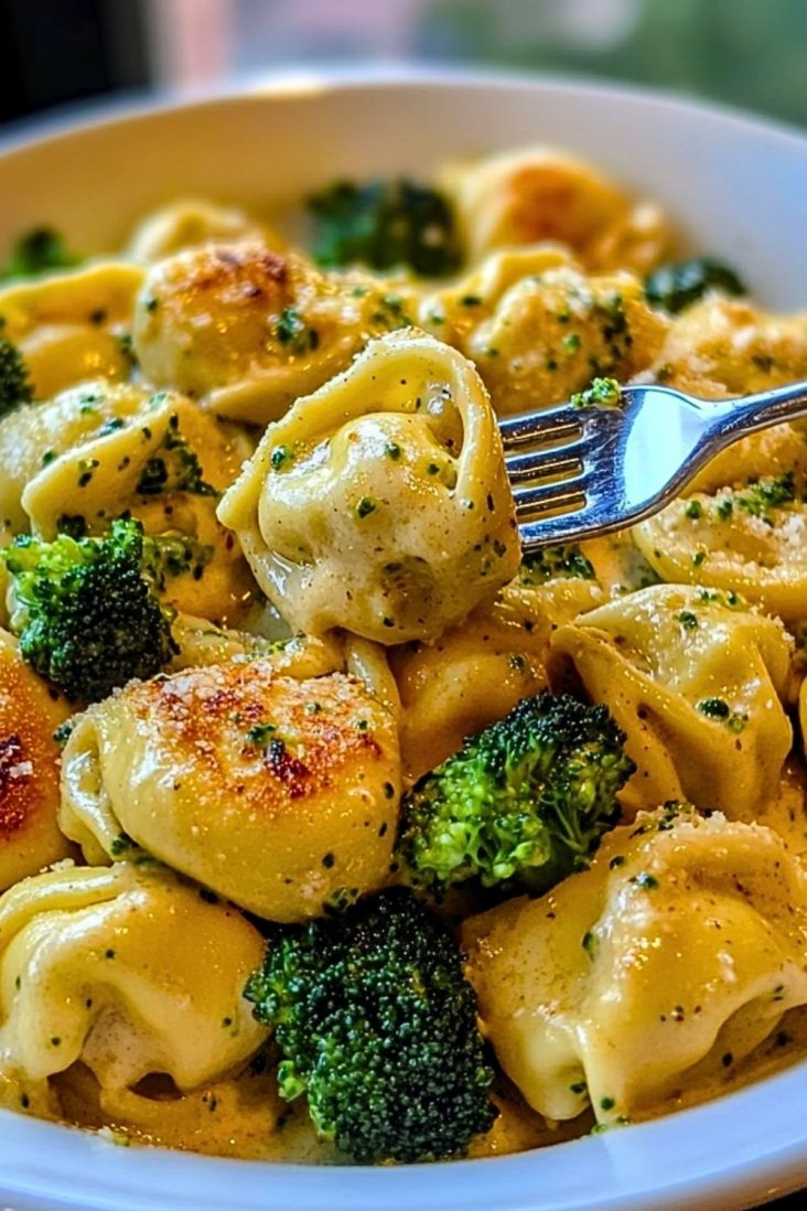 Creamy Garlic Parmesan Tortellini with Chicken and Broccoli - Ava Chef Life