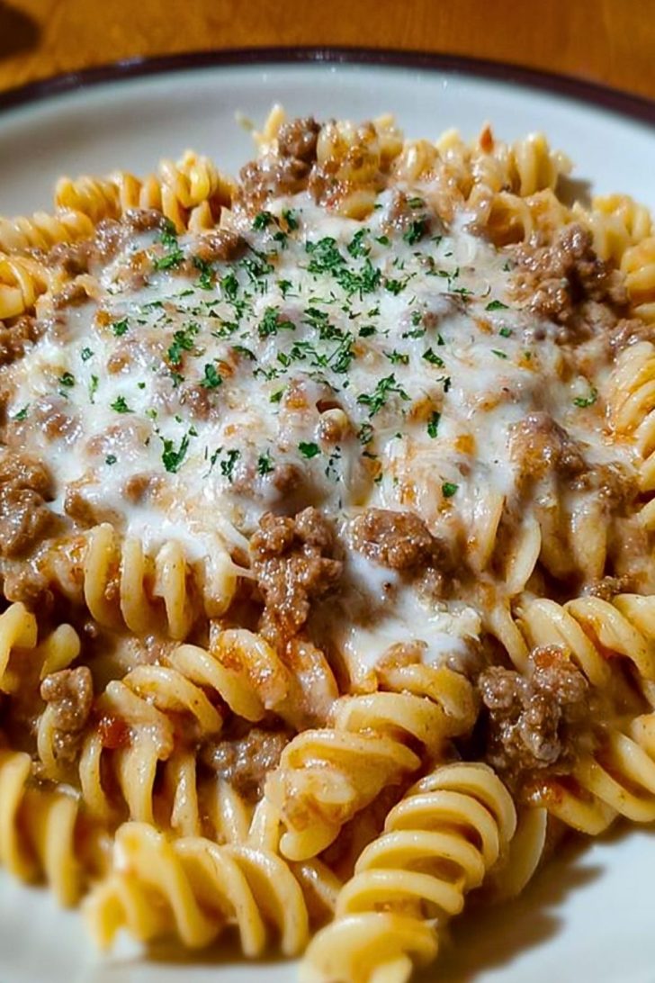 Beef and Rotini in Garlic Parmesan Sauce - Ava Chef Life